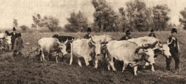 Sângeroasa rezistenţă a ţăranilor români împotriva exploatării ...